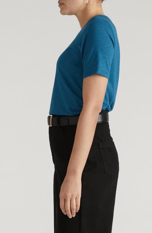 UNIVERSAL STANDARD Universal Standard Light As Air Tee Rex T-Shirt
